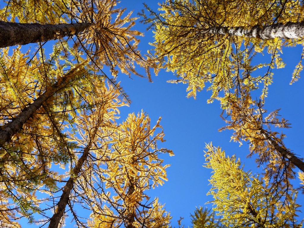 10+ Best Fall Hikes near Seattle - Ordinary Adventures