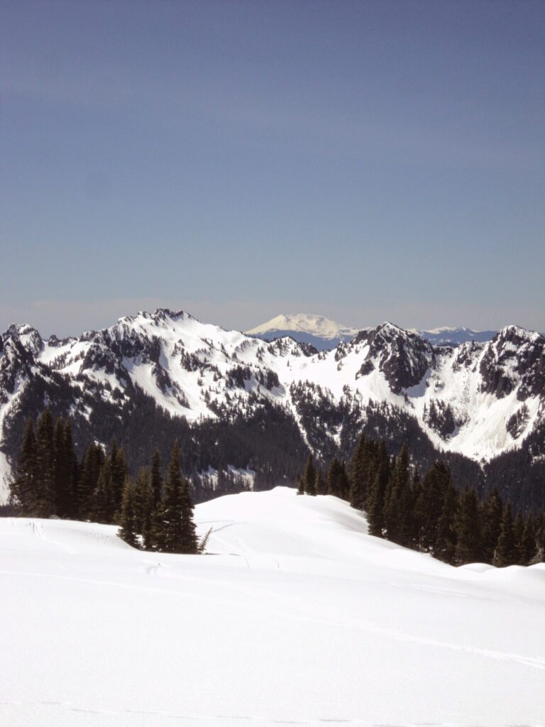Snowshoeing in Mt Rainier National Park – Top Left Adventures