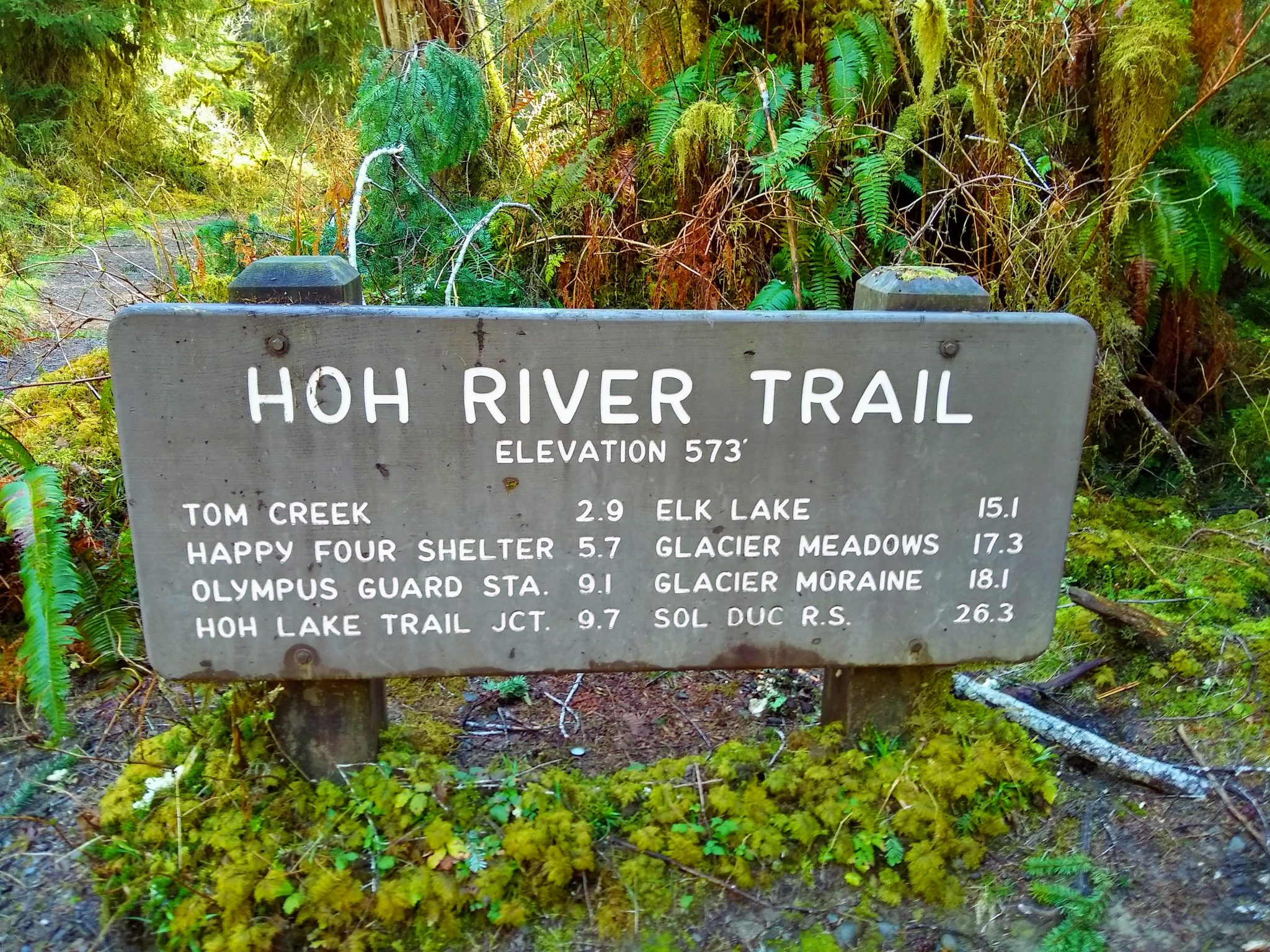 How to Visit the Hoh Rainforest – Top Left Adventures