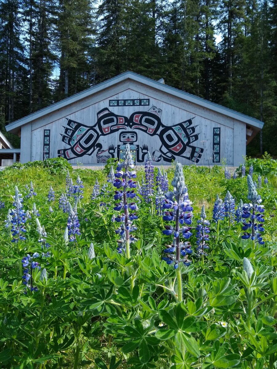 How to Visit Glacier Bay National Park in Alaska: Ultimate Guide – Top ...