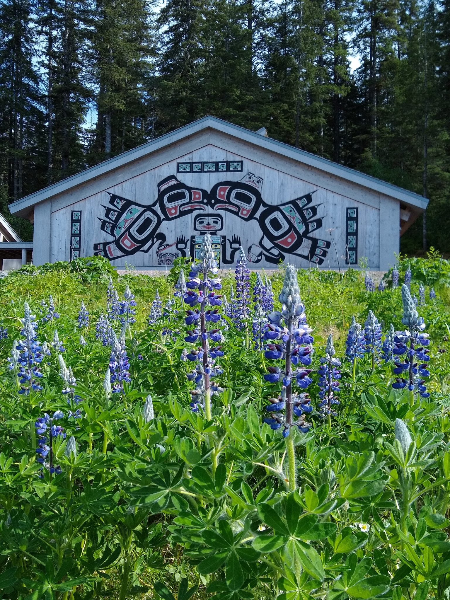 How to Visit Glacier Bay National Park in Alaska: Ultimate Guide – Top ...
