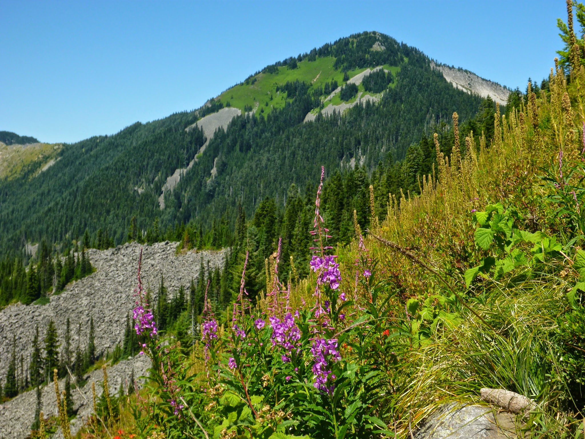 Bandera Mountain Hike: Big view hike near Seattle – Top Left Adventures