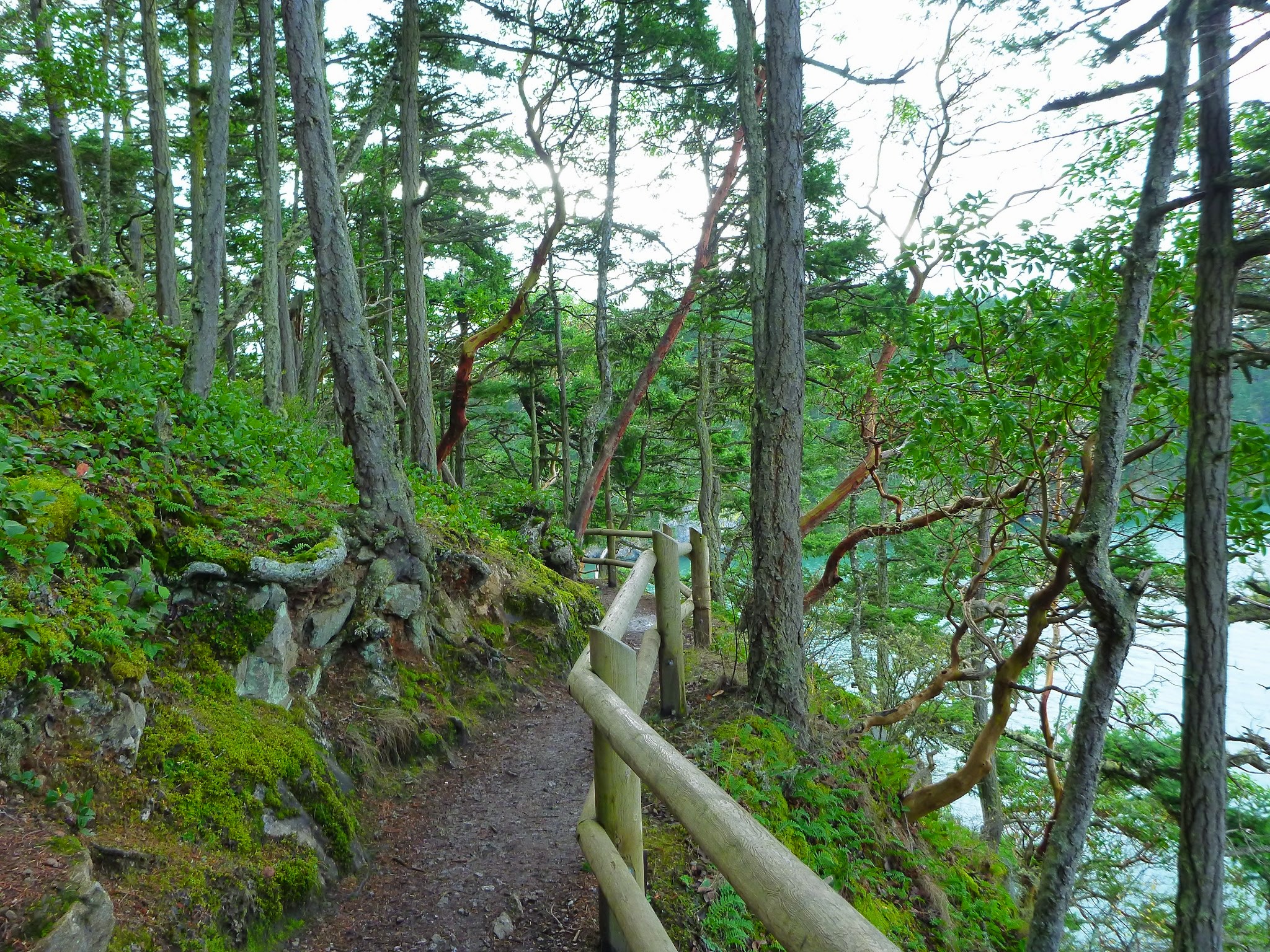 Deception Pass Day Trip or Weekend Adventure – Top Left Adventures
