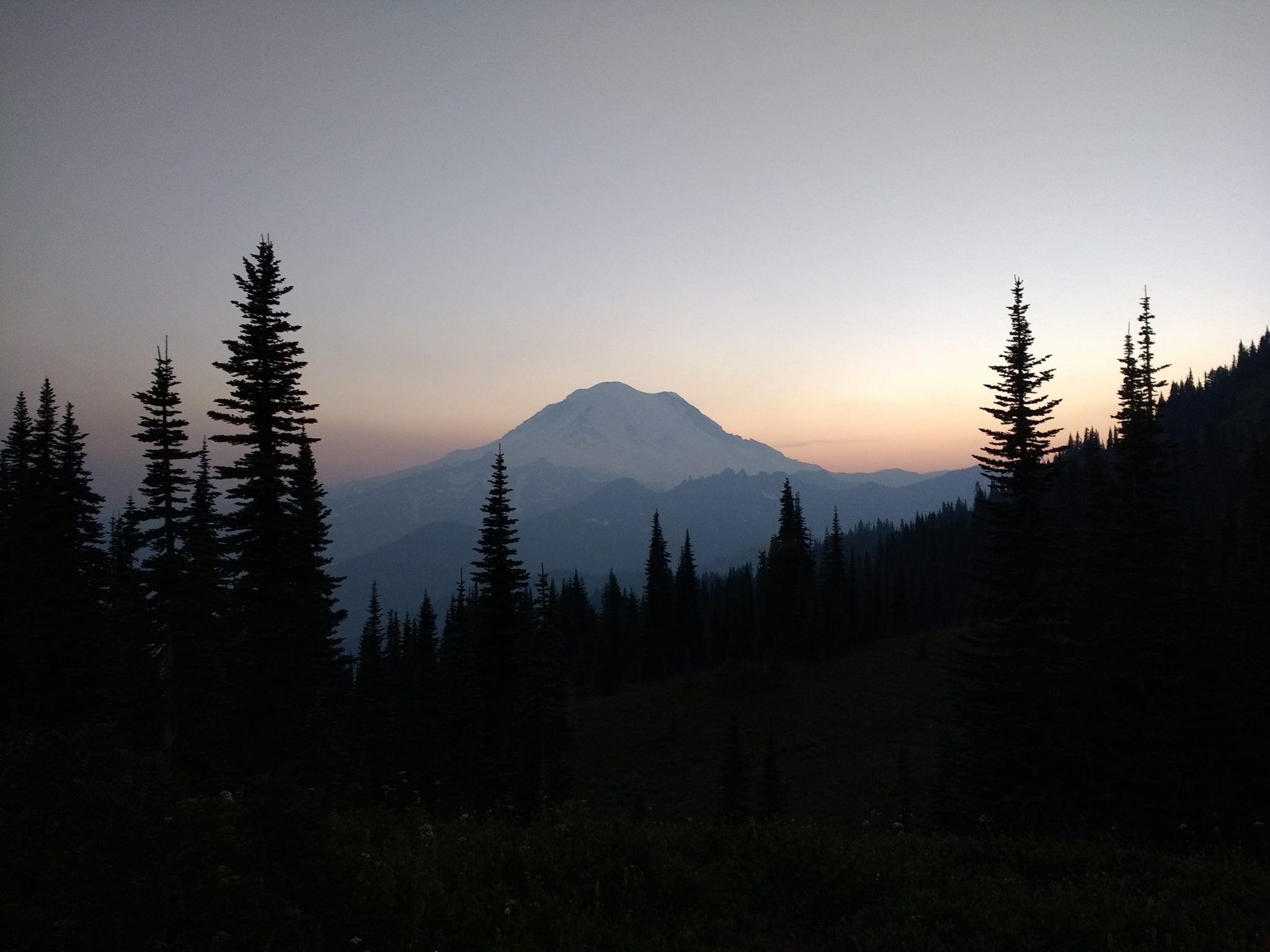 Naches Peak Loop Hike: Summer wildflowers, fall colors, epic views ...