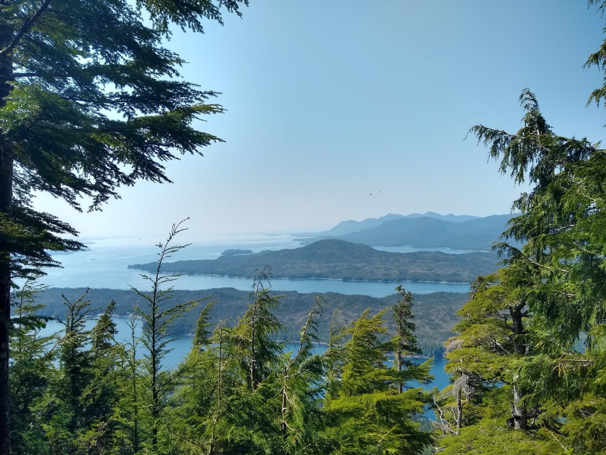 Exploring Ketchikan Beyond the Cruise Ship Dock – Top Left Adventures