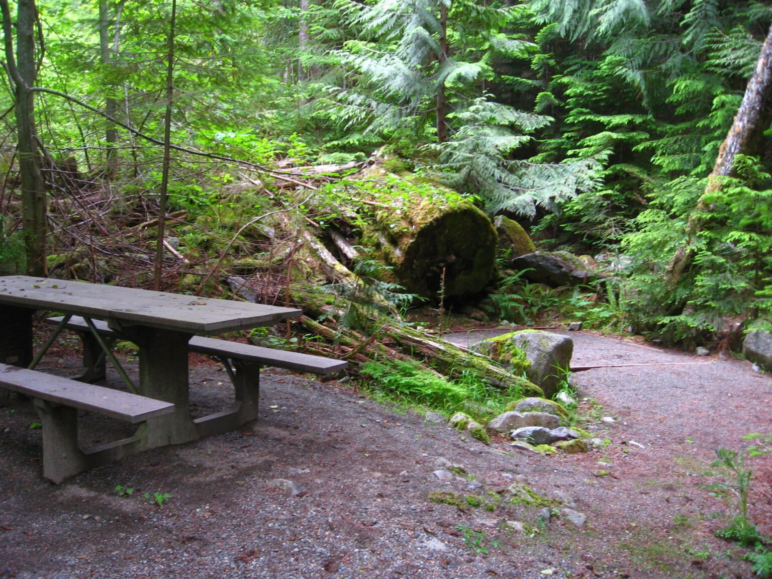 Snoqualmie Tunnel Bike Ride or Hike – Top Left Adventures