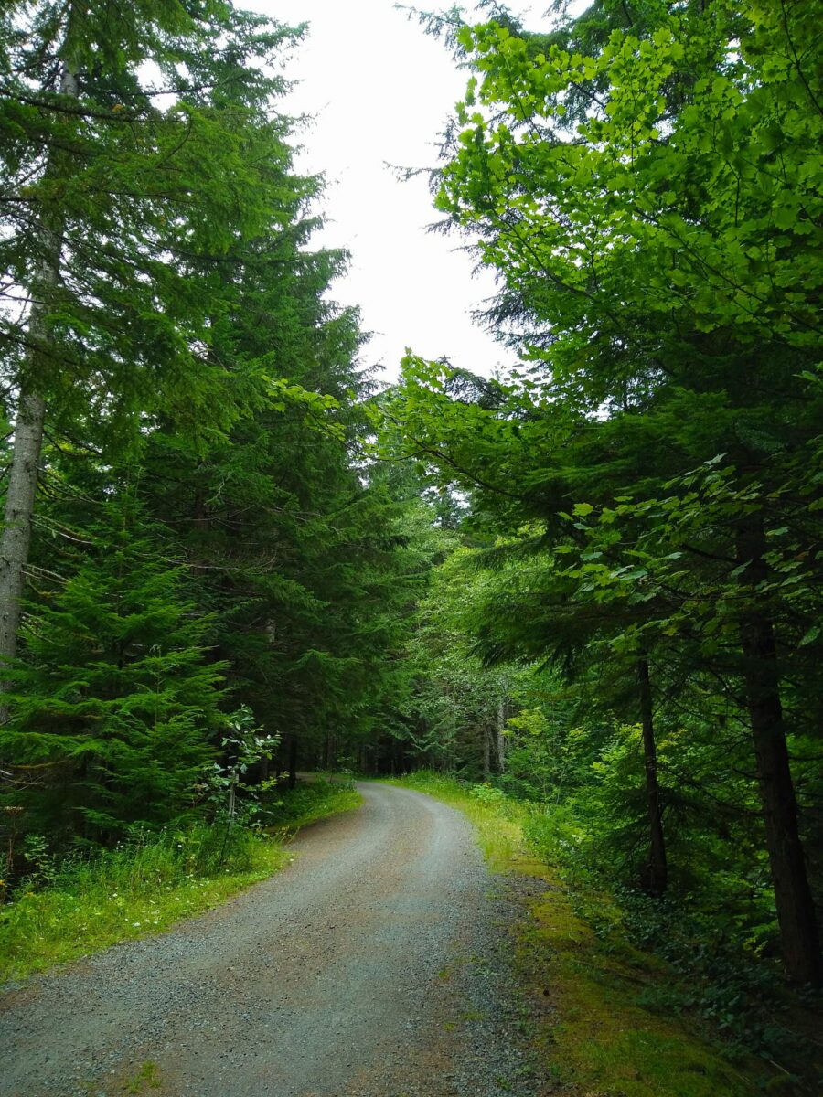 Snoqualmie Tunnel Bike Ride or Hike – Top Left Adventures