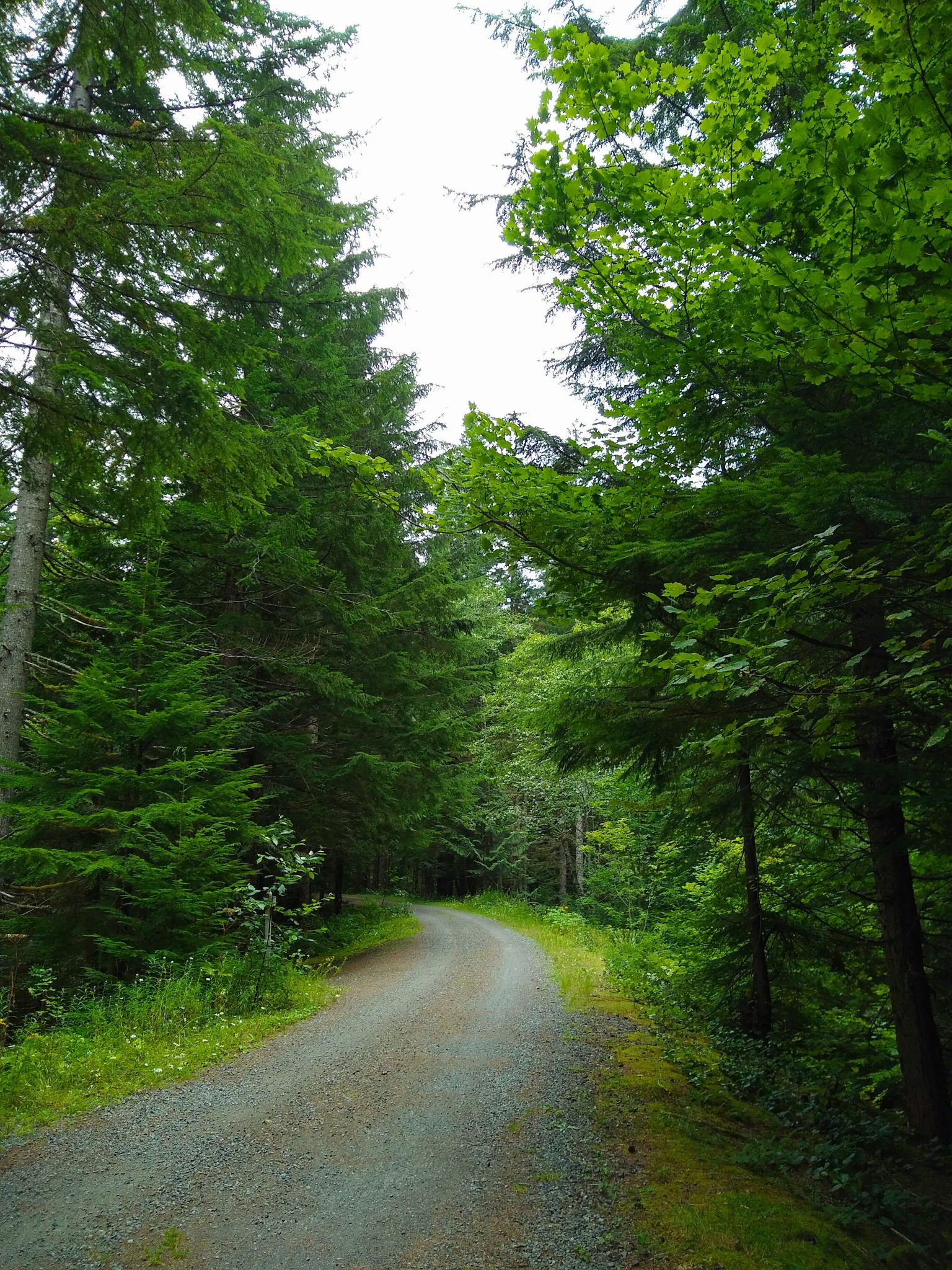Snoqualmie Tunnel Bike Ride or Hike – Top Left Adventures