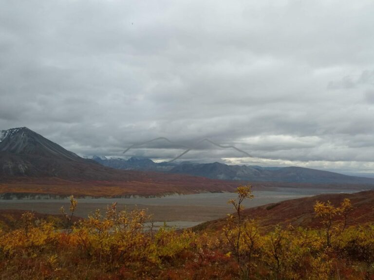 Denali National Park Road Lottery Trip Planner – Top Left Adventures