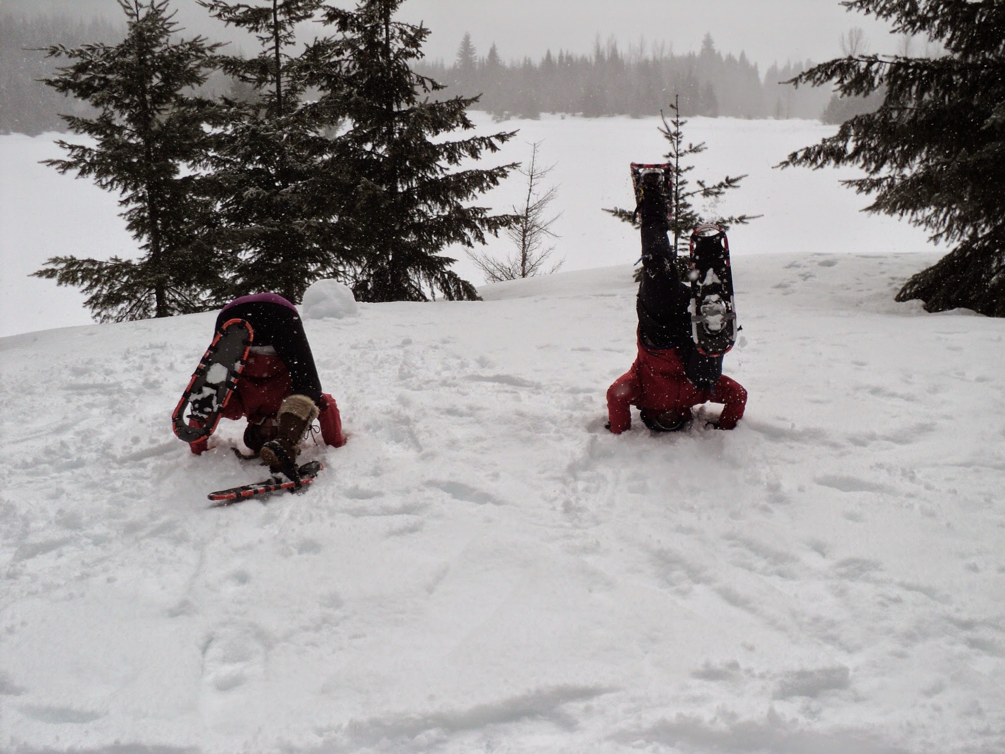 How to Start Snowshoeing in the Seattle Area – Top Left Adventures