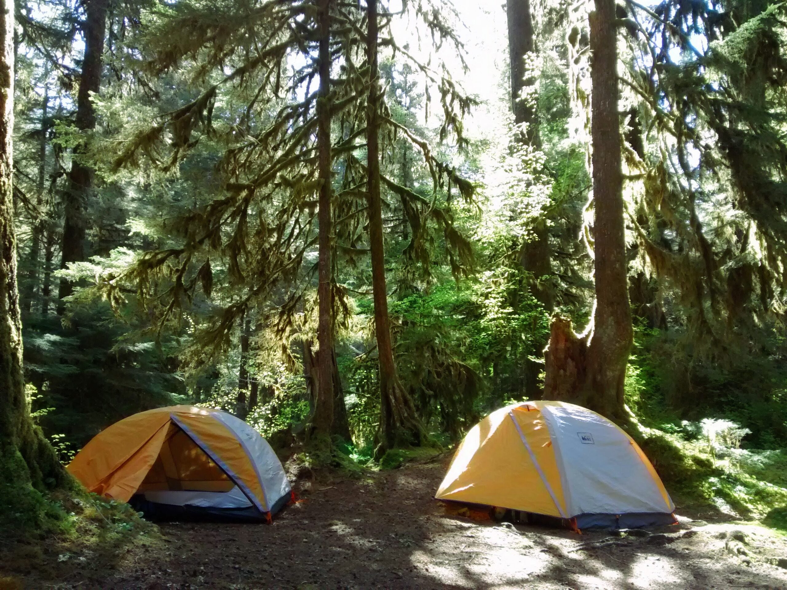 Sol Duc Hot Springs in Olympic National Park – Top Left Adventures