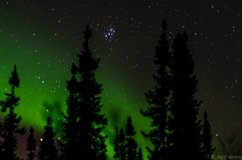 8 Reasons to Visit Alaska in Winter – Top Left Adventures