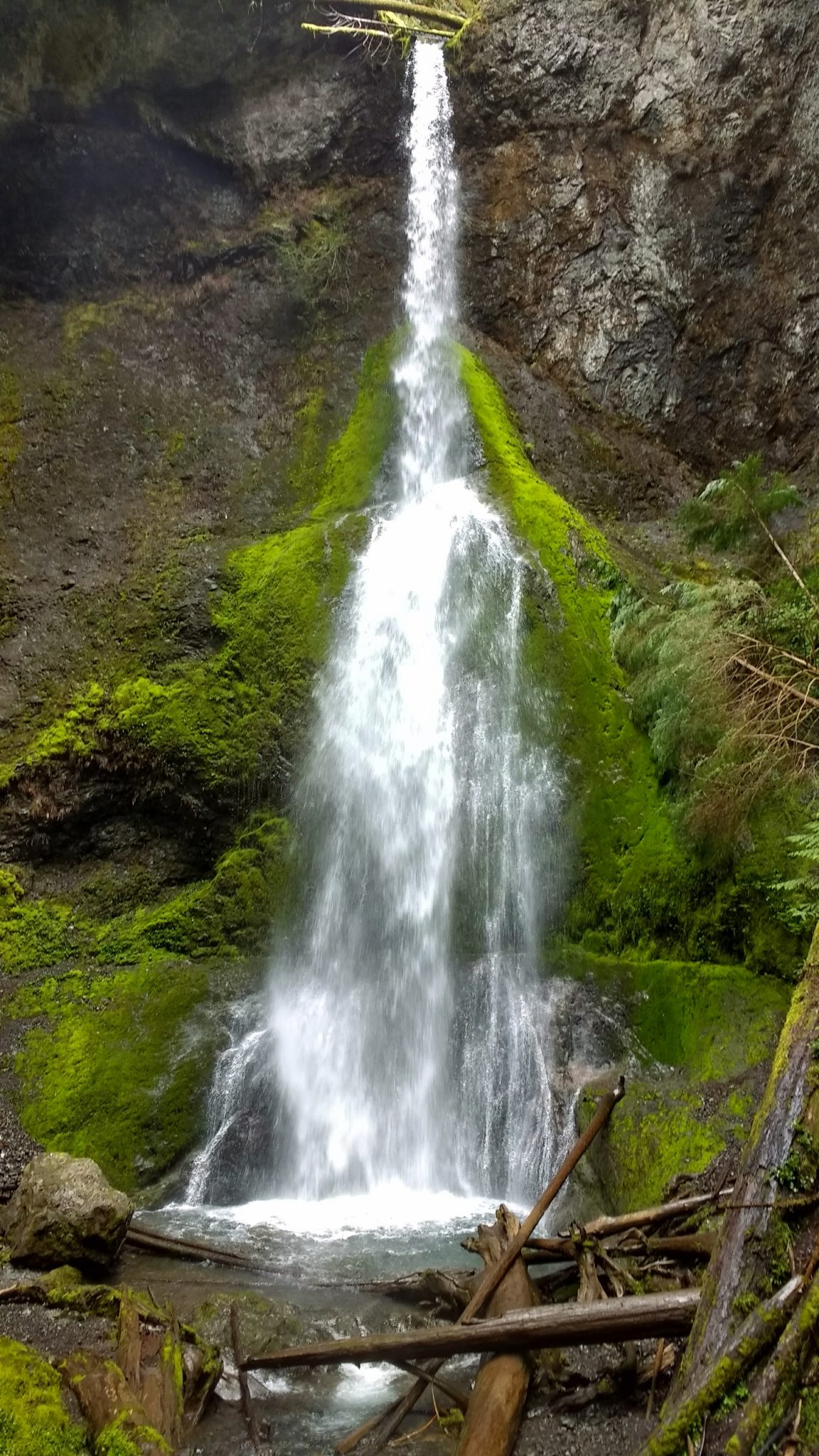 5 Best Olympic National Park Waterfalls – Top Left Adventures