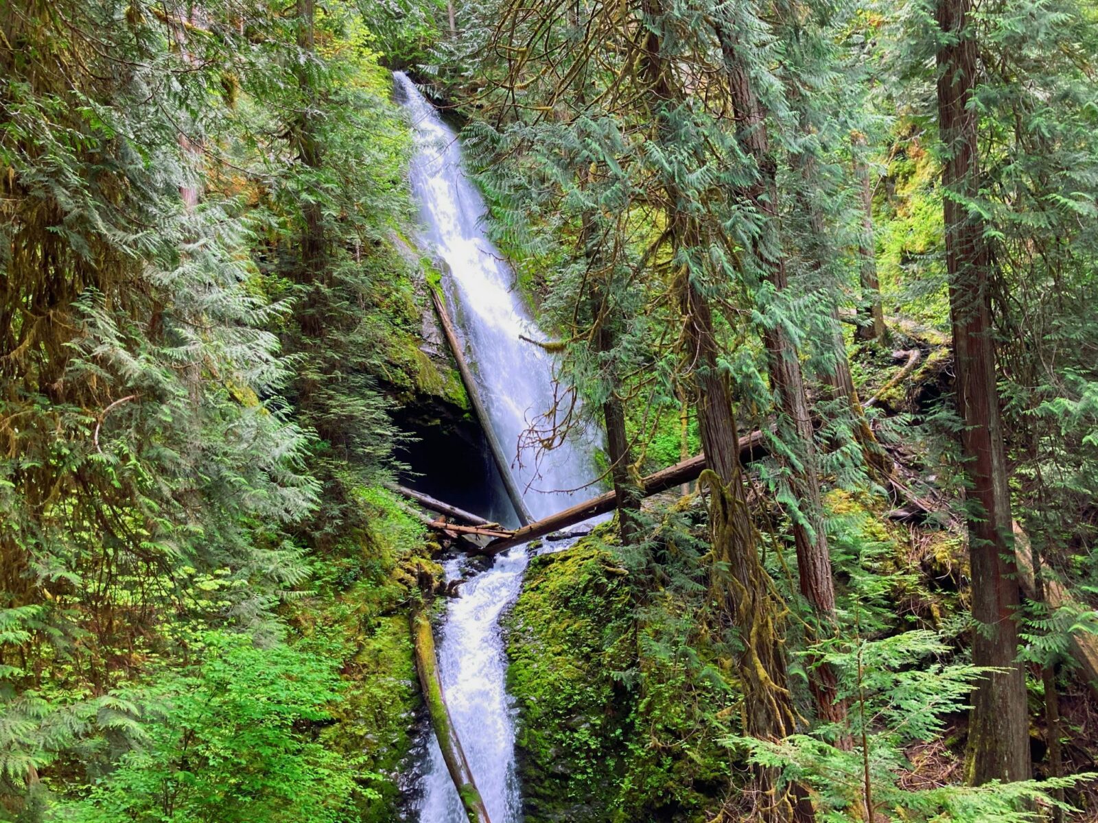 5 Best Olympic National Park Waterfalls – Top Left Adventures