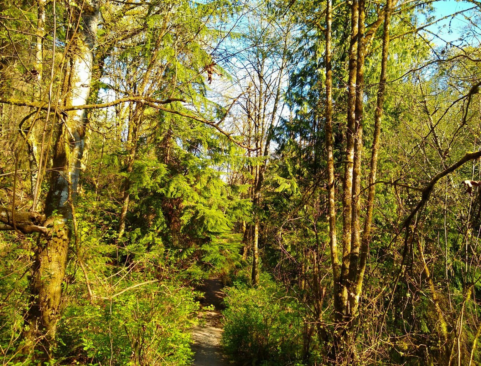 South Seattle Urban Hike: Kubota Gardens/Lakeridge – Top Left Adventures