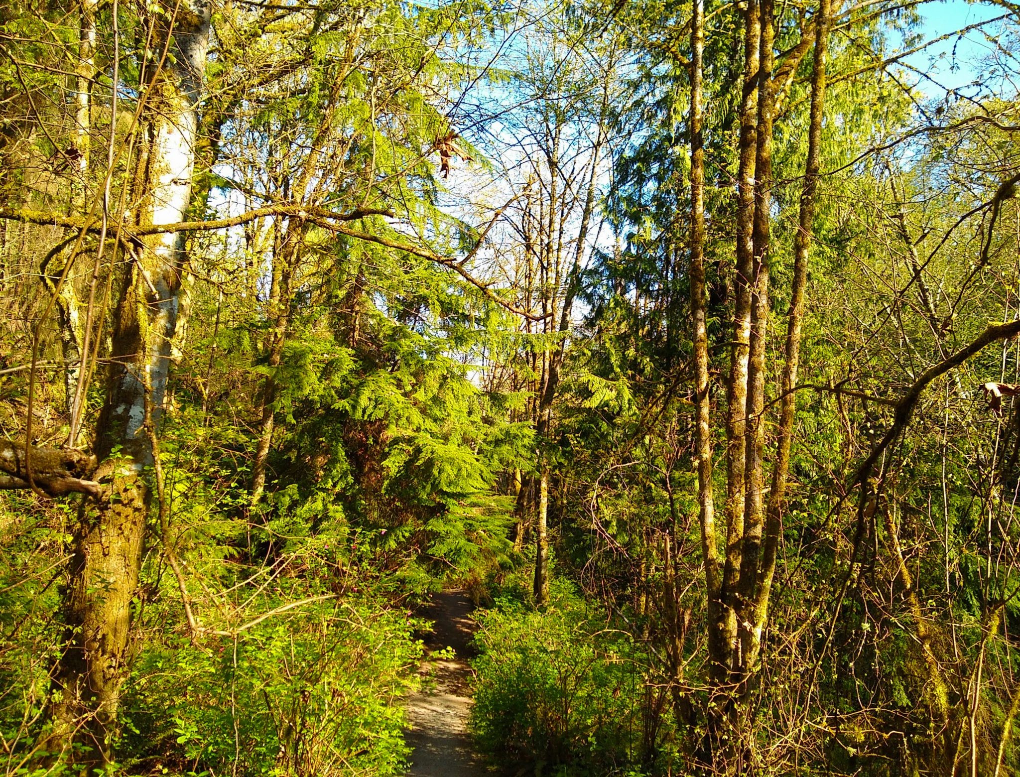 South Seattle Urban Hike: Kubota Gardens/Lakeridge – Top Left Adventures