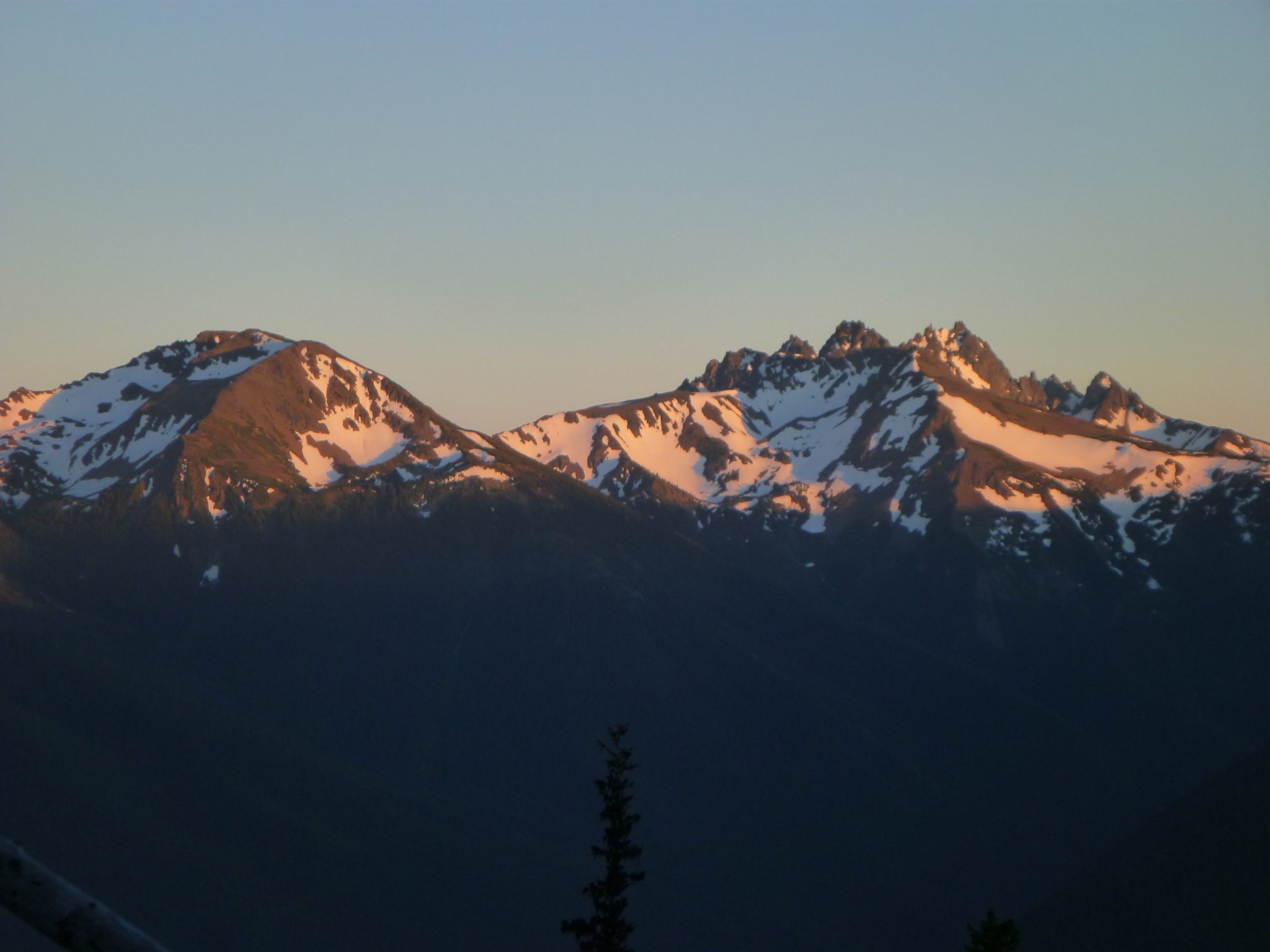 Summer Day Trip to Hurricane Ridge in Olympic National Park – Top Left ...