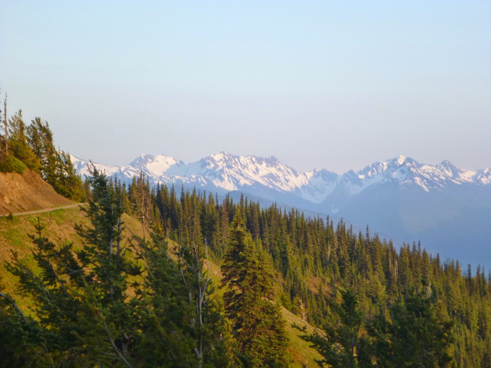 Summer Day Trip to Hurricane Ridge in Olympic National Park – Top Left ...