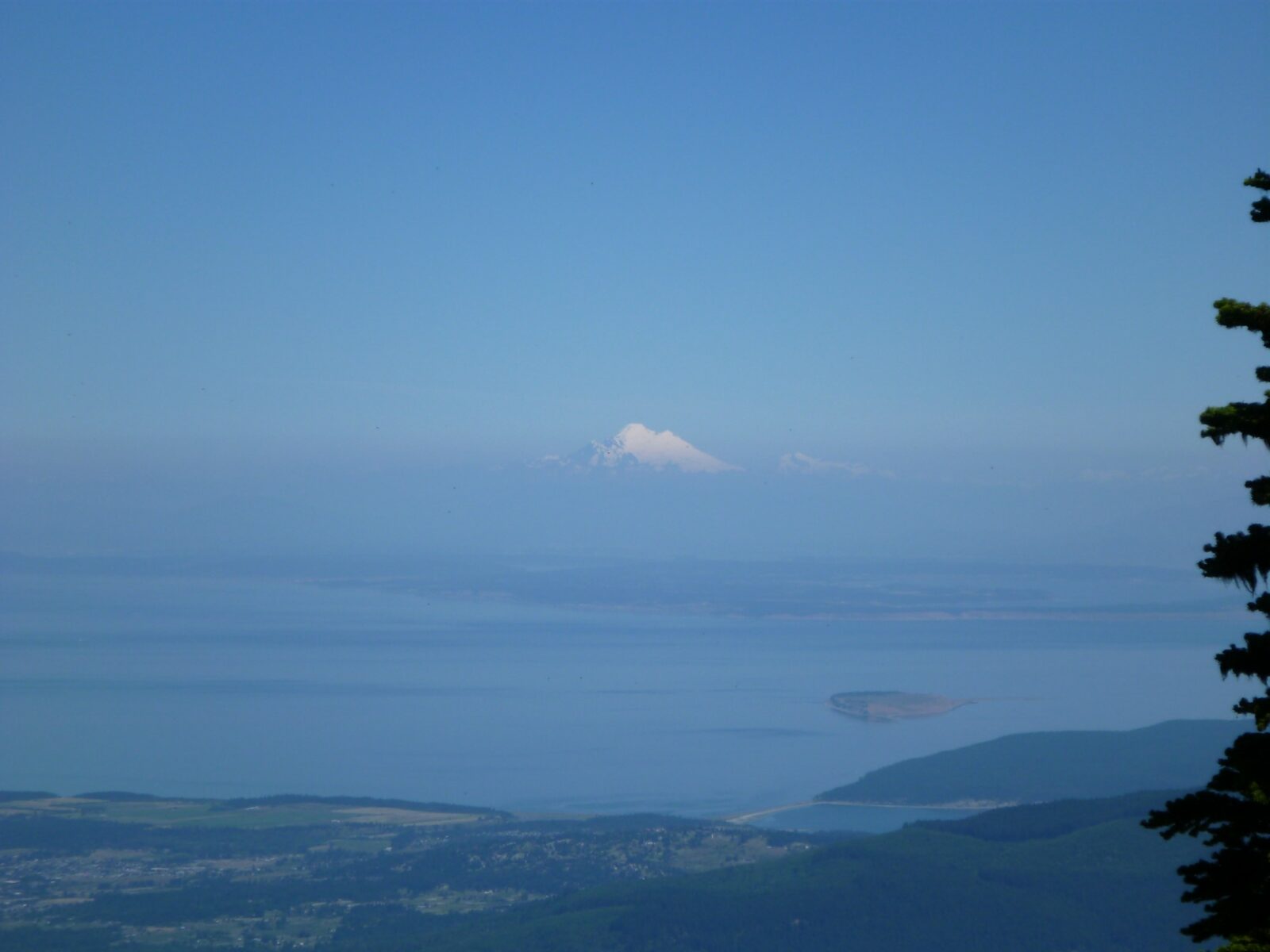 Summer Day Trip to Hurricane Ridge in Olympic National Park – Top Left ...