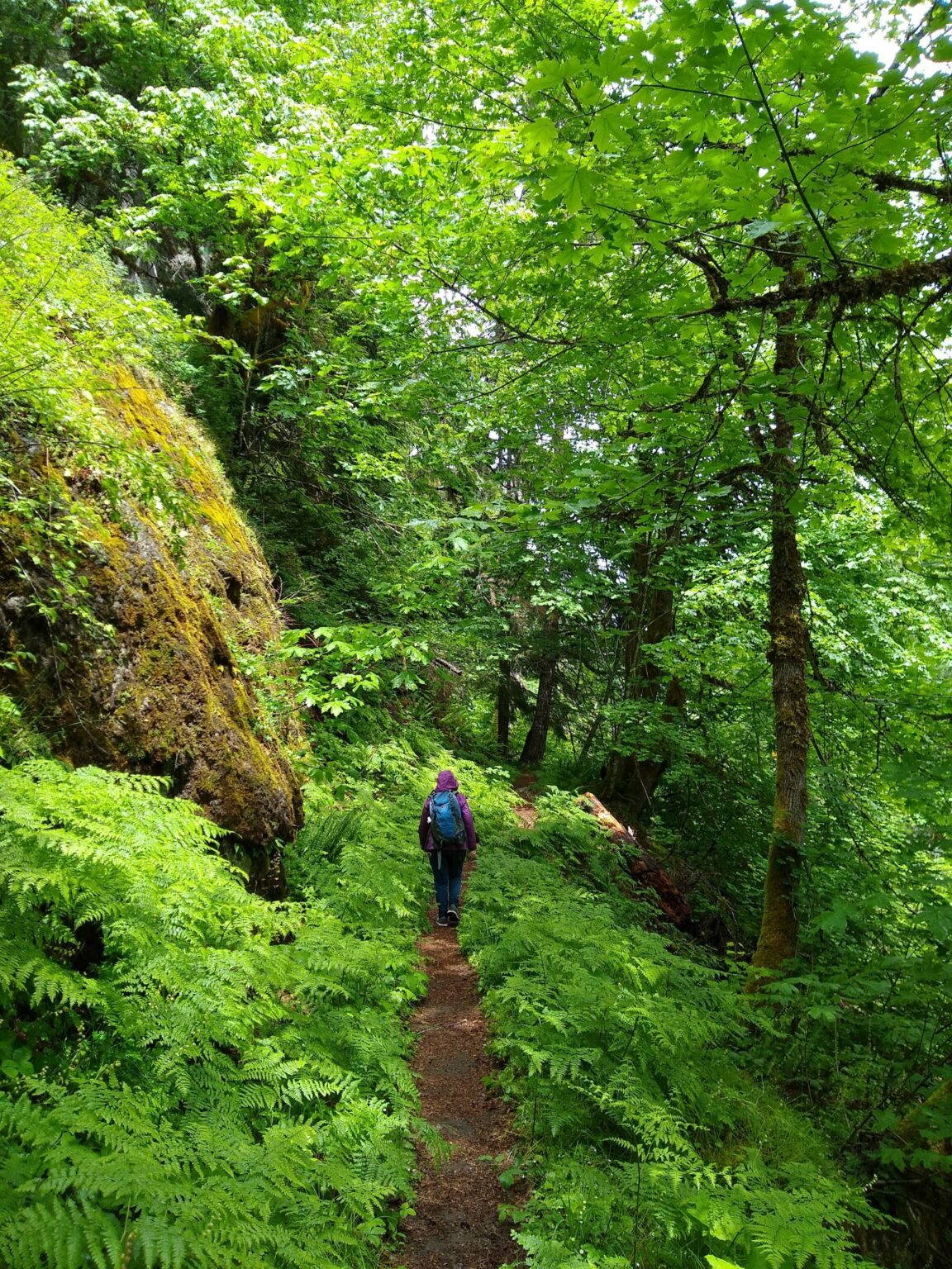 How to Find Less Crowded Hikes near Seattle – Top Left Adventures
