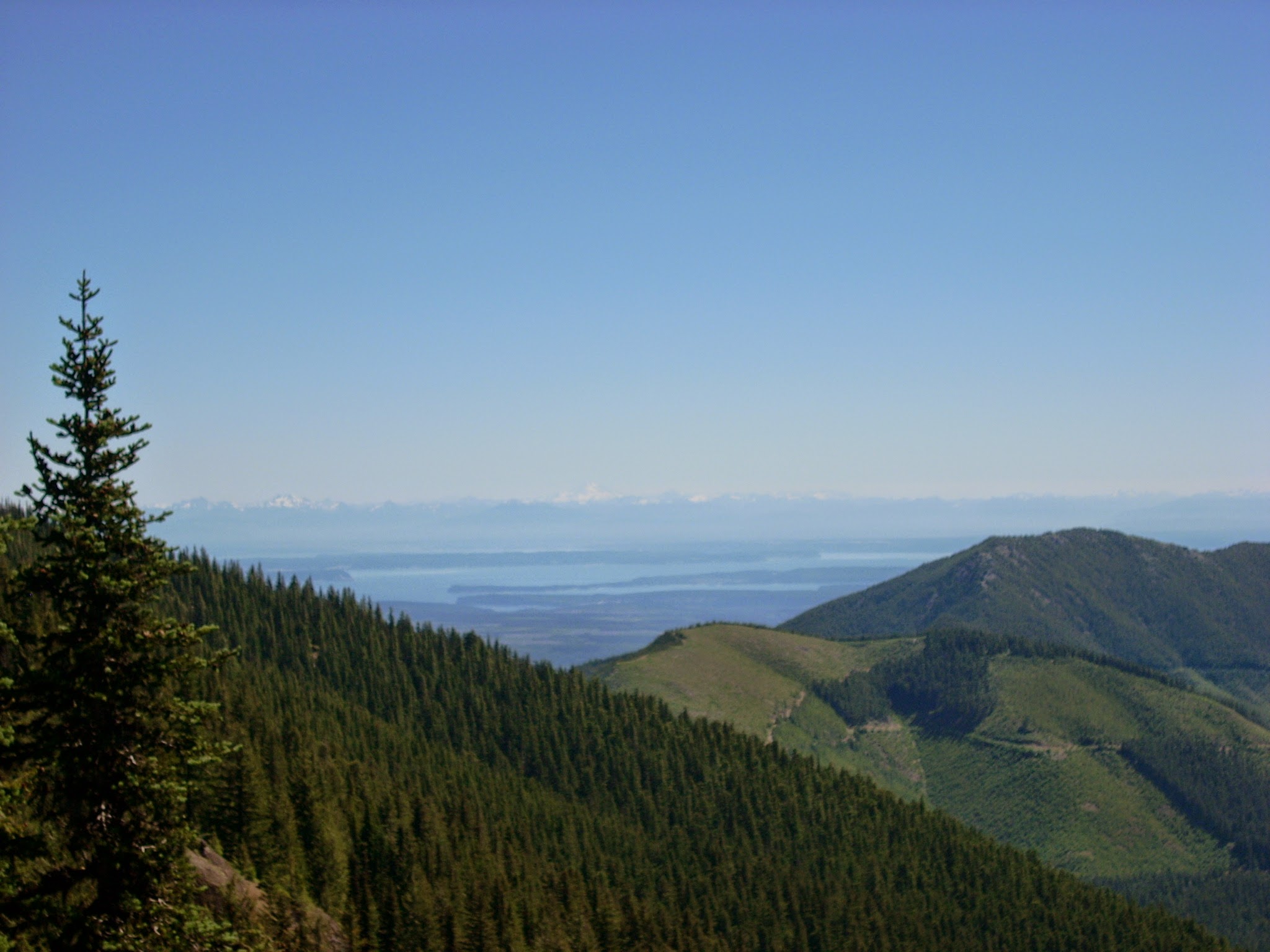 Mt Townsend Hike: Epic Olympic Mountain Views – Top Left Adventures