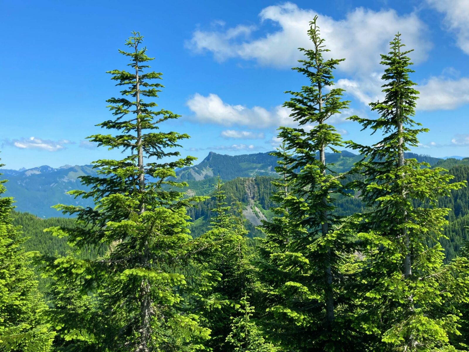 Mt Washington Hike near Seattle: WAY better than Mt Si! – Top Left ...