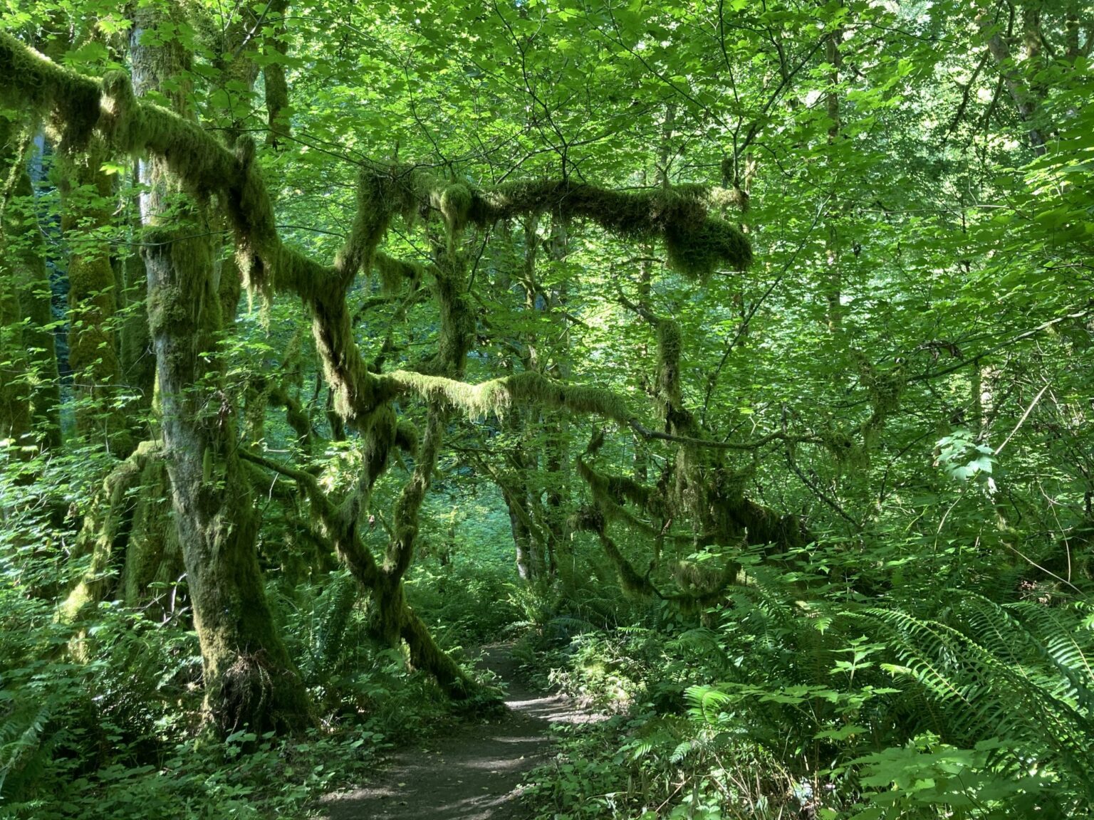 The 8 Best Hikes in Issaquah - Ordinary Adventures