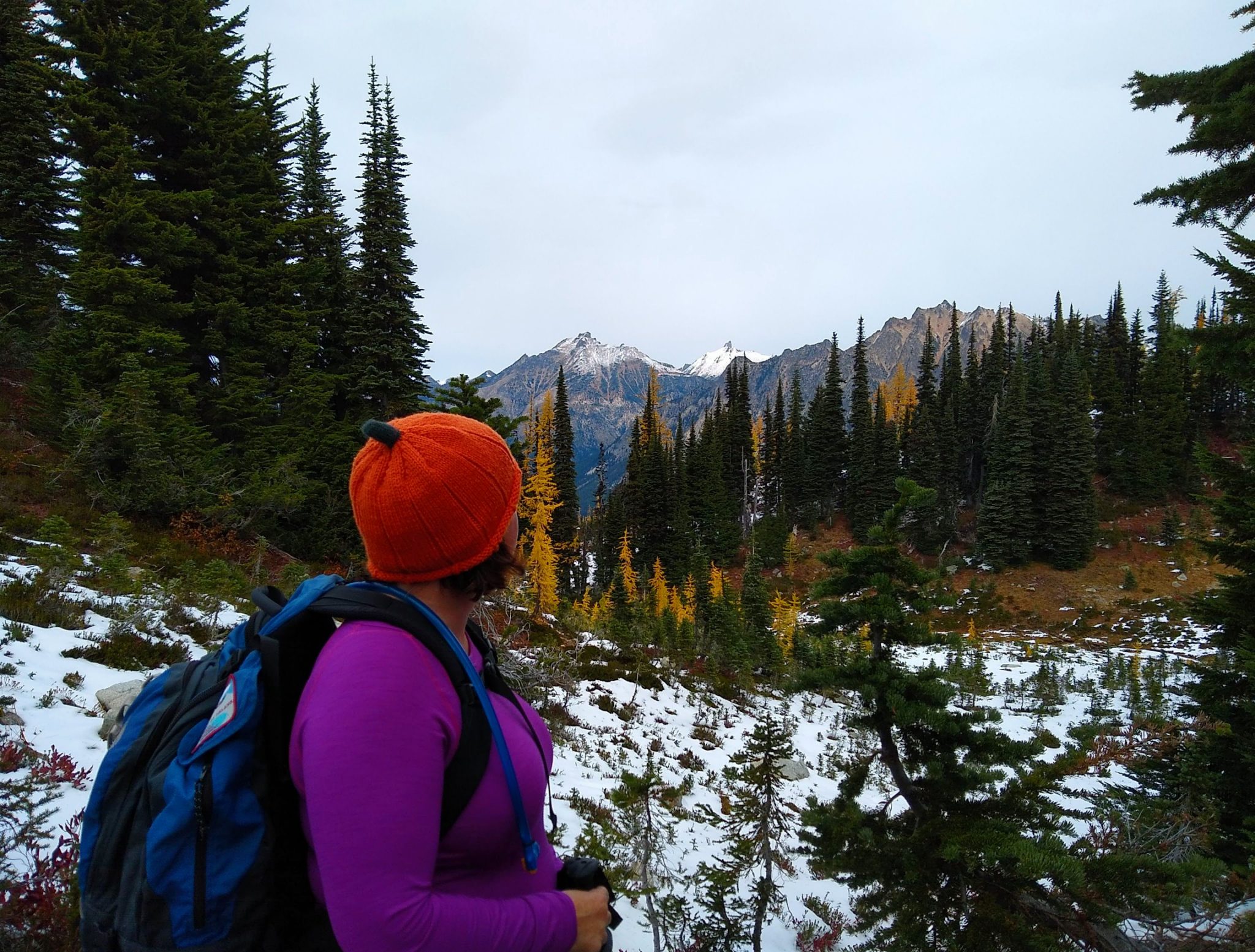 Maple Pass Loop North Cascades – Top Left Adventures