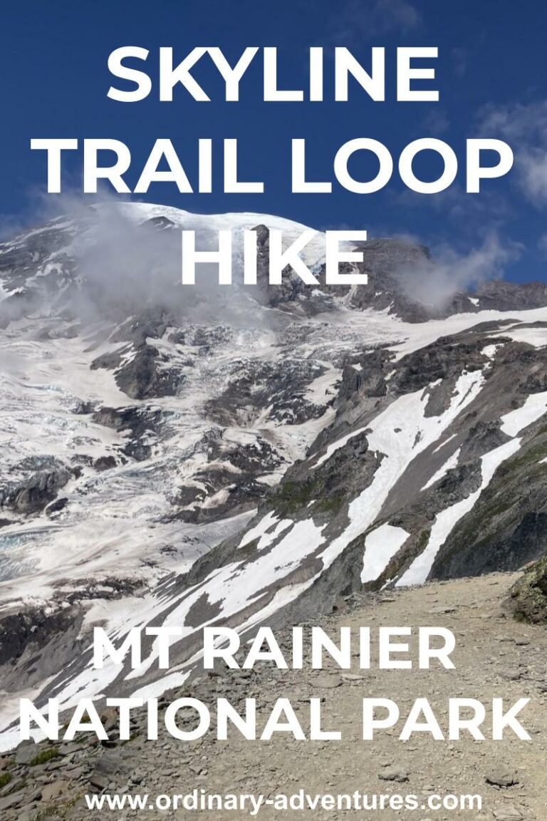 Spectacular Skyline Trail Loop at Mt Rainier – Top Left Adventures