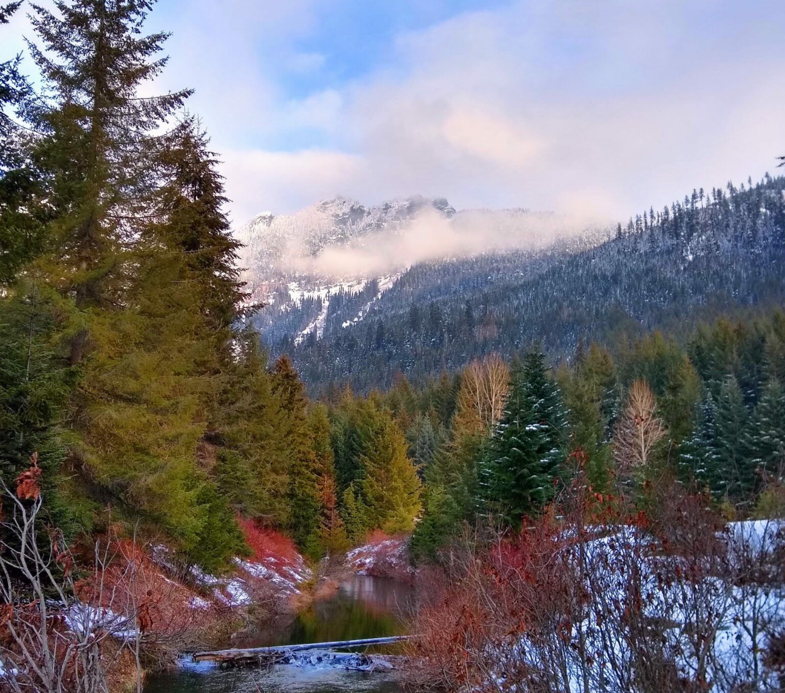 10+ Best Fall Hikes near Seattle – Top Left Adventures