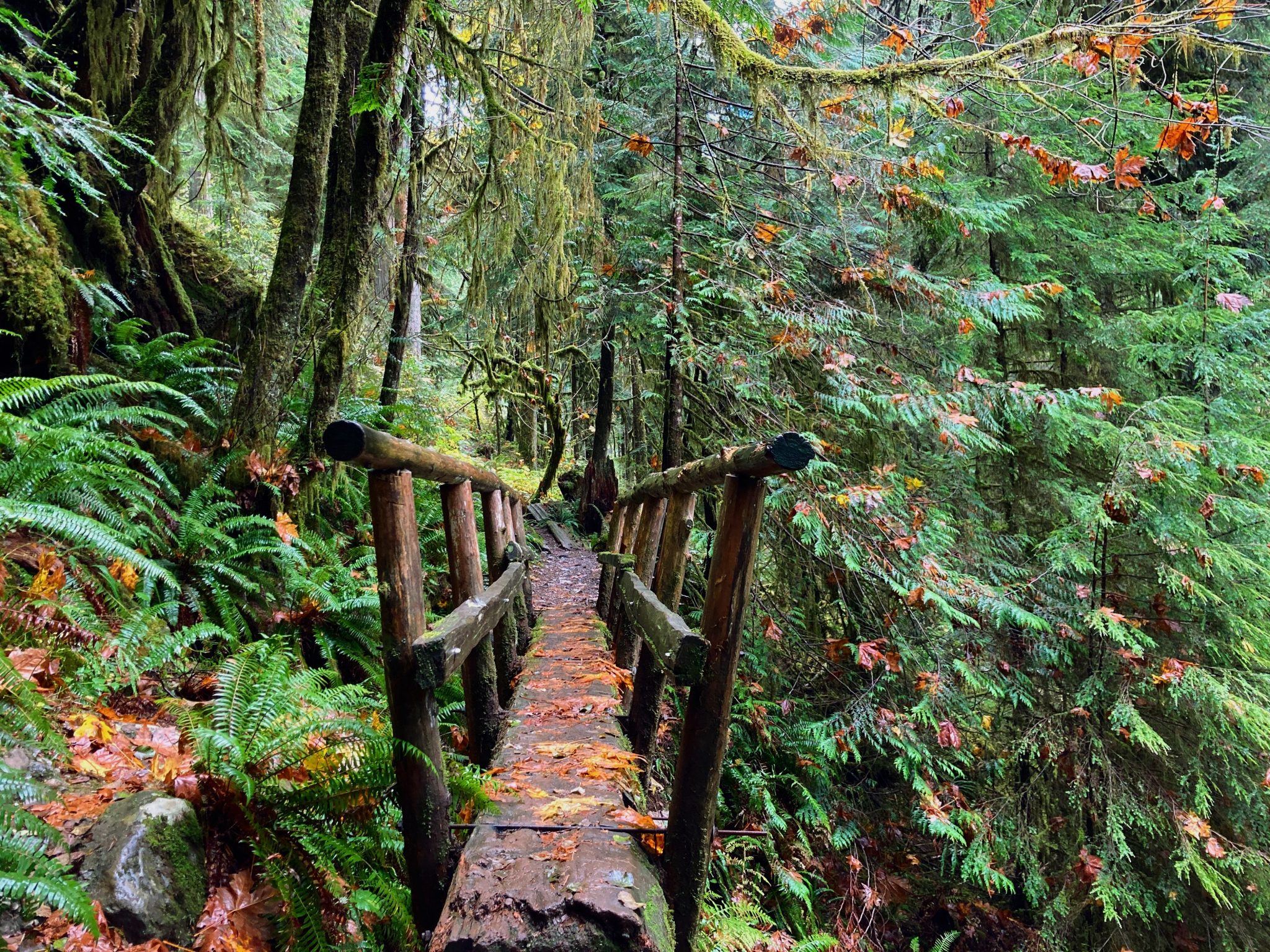 Boulder River Trail: Stunning Forest and Waterfalls – Top Left Adventures