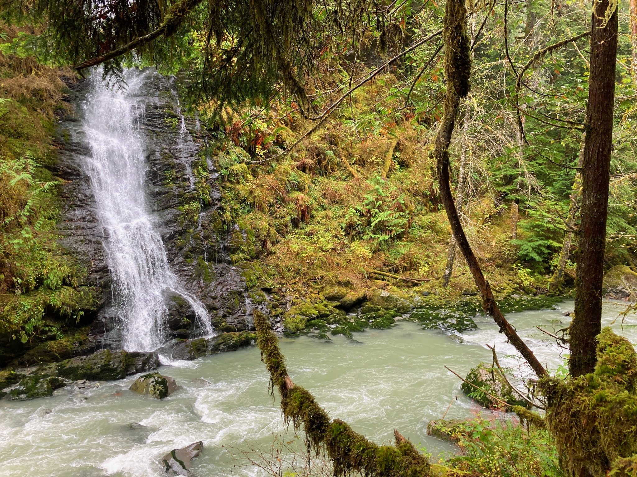 Boulder River Trail: Stunning Forest and Waterfalls – Top Left Adventures