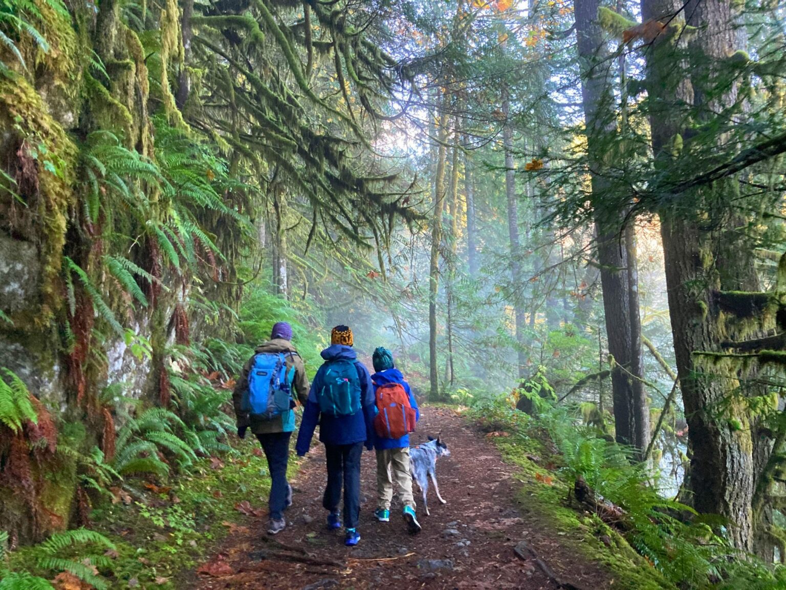 Boulder River Trail: Stunning Forest and Waterfalls – Top Left Adventures