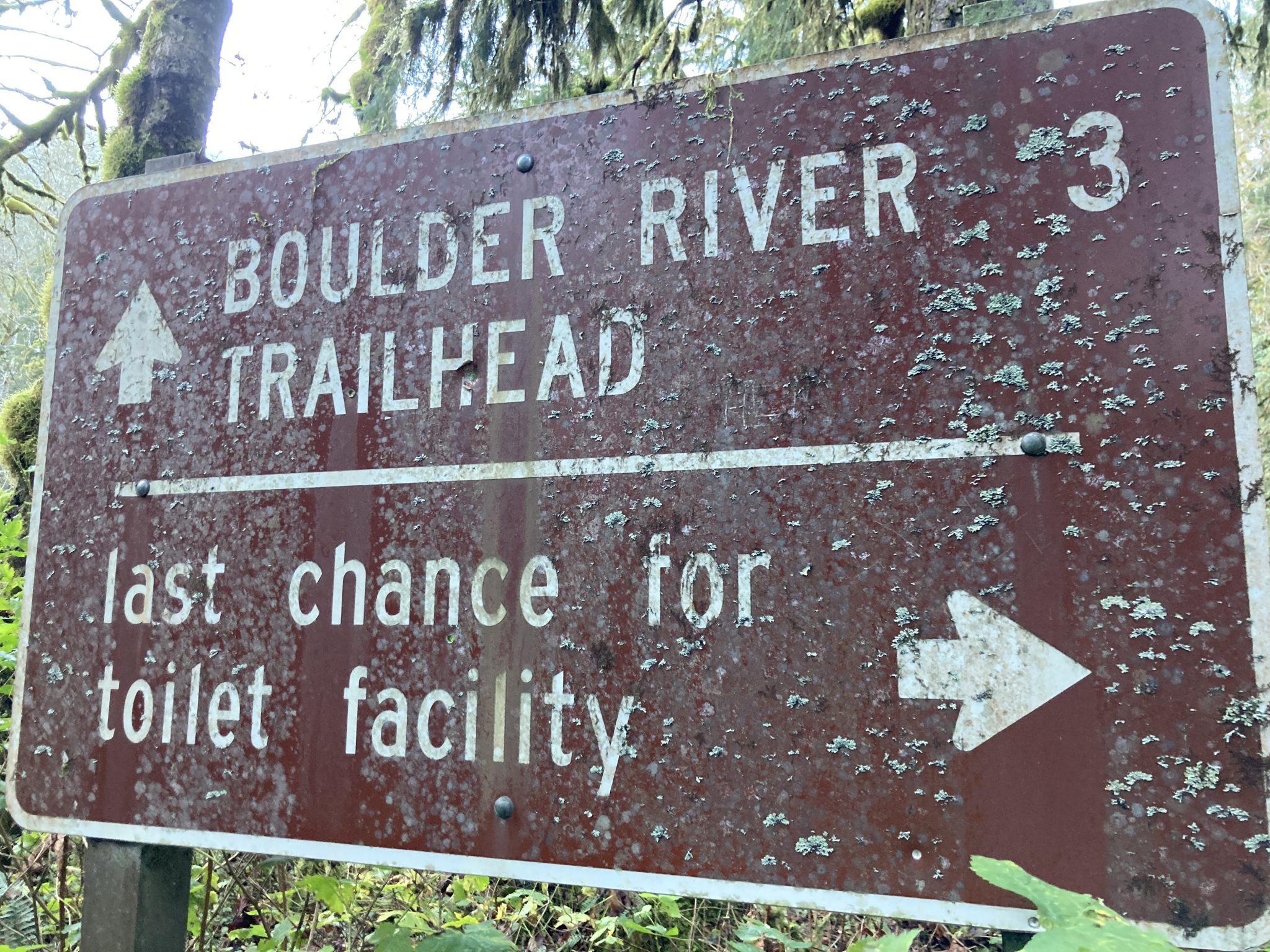 Boulder River Trail: Stunning Forest and Waterfalls – Top Left Adventures