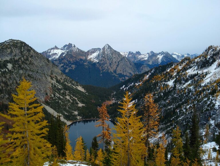 Top 12 Golden Larch Hikes in Washington State - Ordinary Adventures