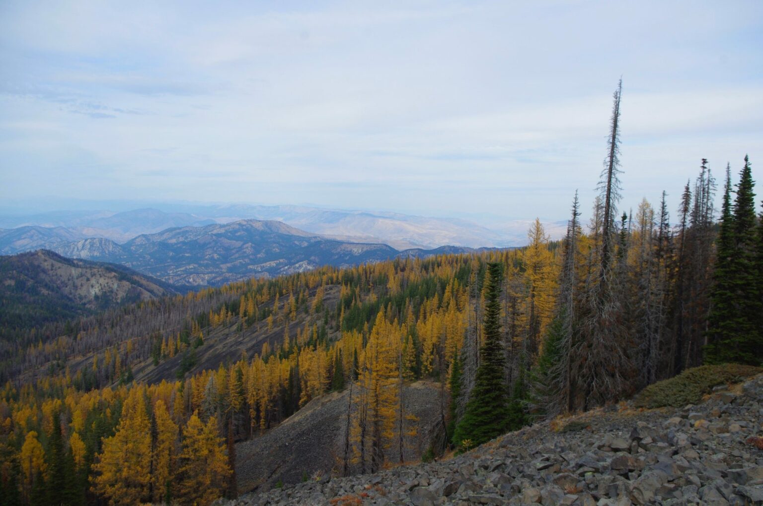 Top 12 Golden Larch Hikes in Washington that are not Maple Pass – Top ...