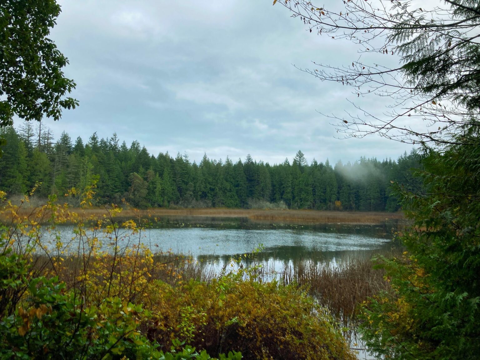 5 Beautiful Hikes on Bainbridge Island – Top Left Adventures