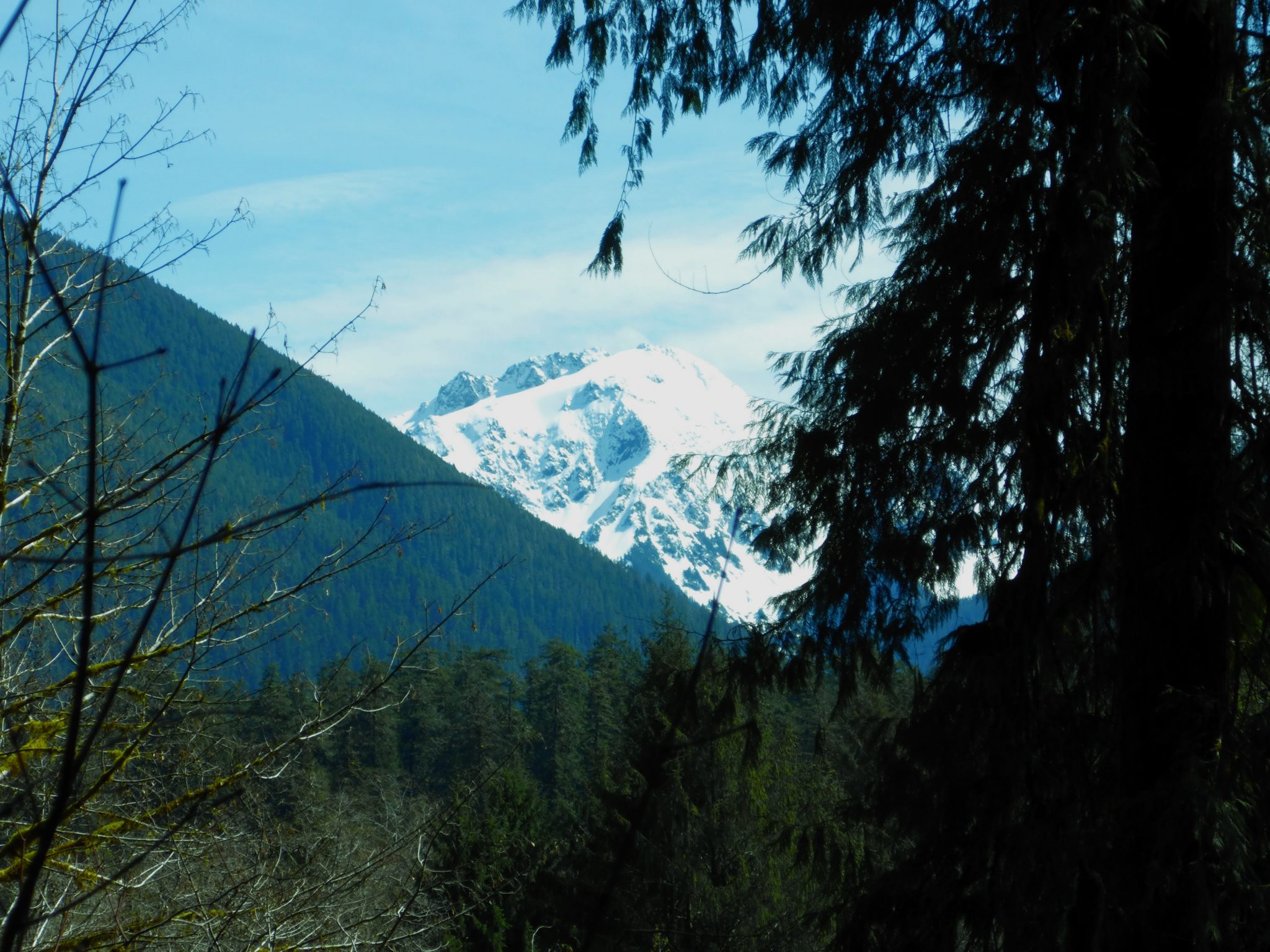 How to Visit the Hoh Rainforest – Top Left Adventures