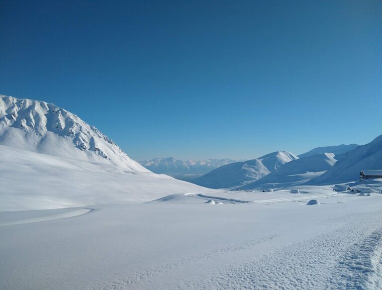 8 Reasons to Visit Alaska in Winter – Top Left Adventures