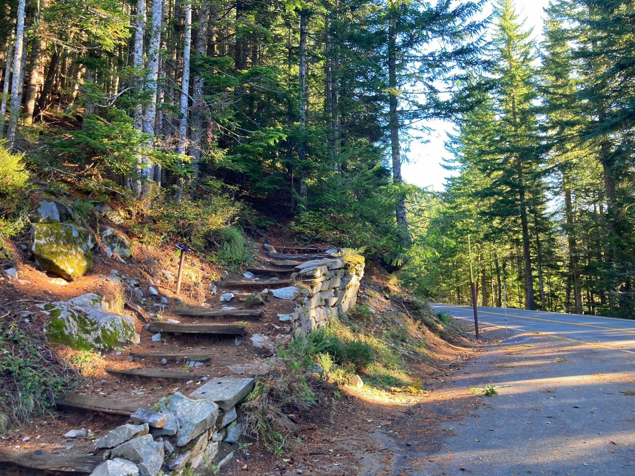Comet Falls: Dramatic Waterfall Hike in Mt Rainier National Park – Top ...