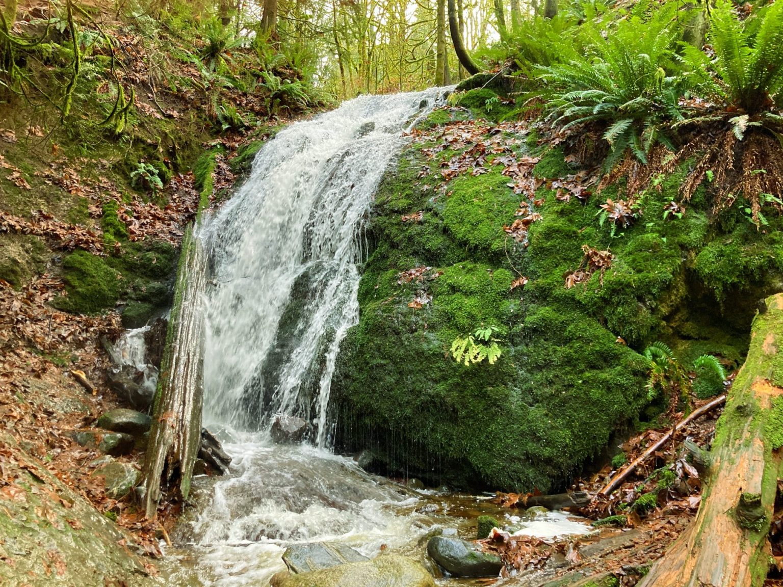 13 Best Waterfall Hikes near Seattle – Top Left Adventures