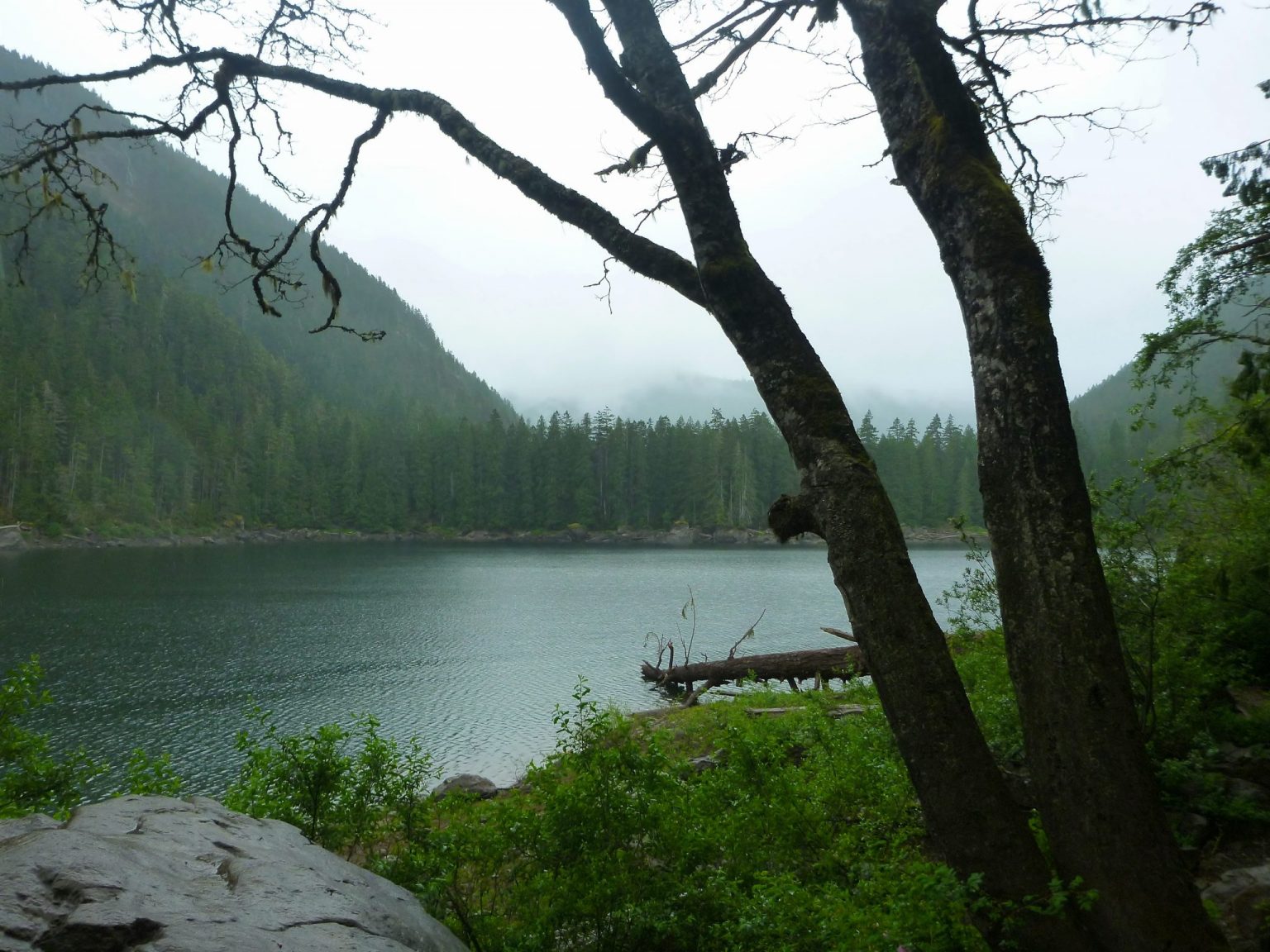 Lena Lake Day Hike or Overnight on the Olympic Peninsula – Top Left ...