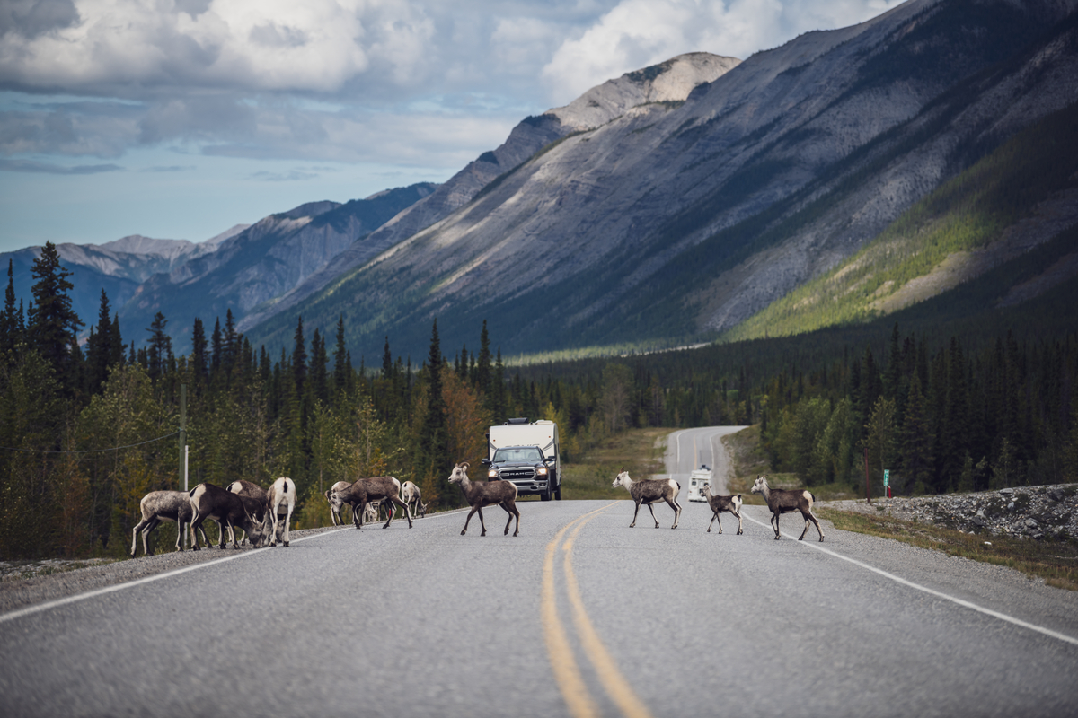 How to Drive to Alaska: Everything you need to Know – Top Left Adventures
