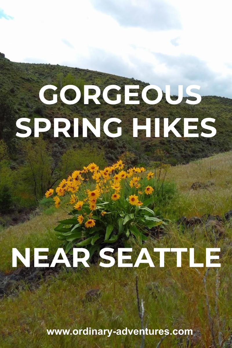 The 15 Best Spring Hikes near Seattle – Top Left Adventures