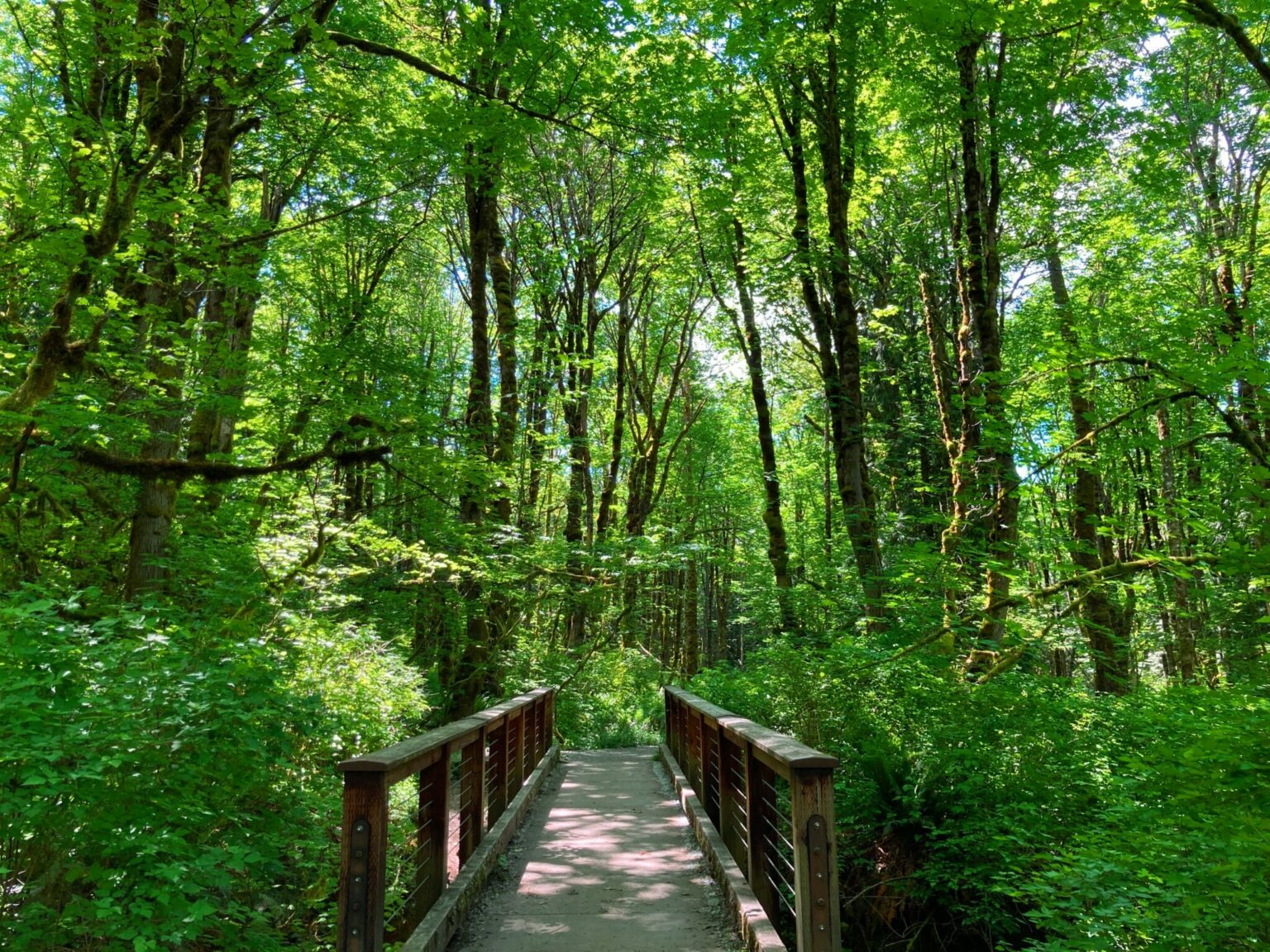 The Best Hikes in Issaquah – Top Left Adventures