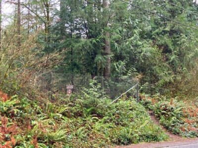 The Best Hikes in Issaquah – Top Left Adventures