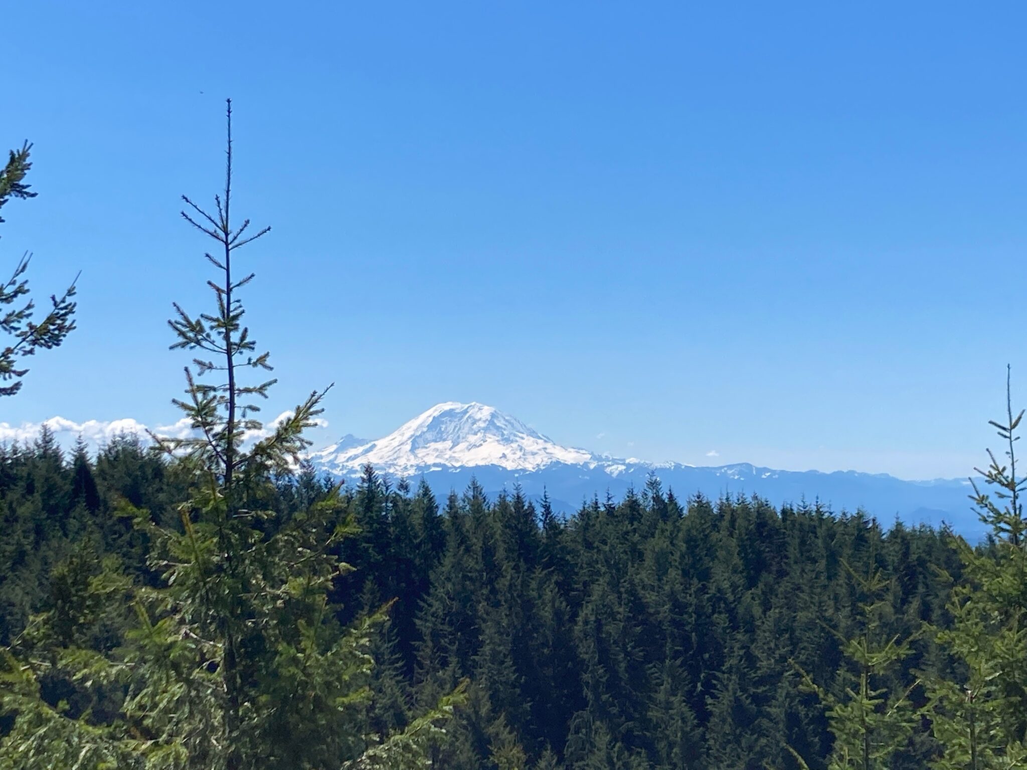 The Best Hikes in Issaquah – Top Left Adventures