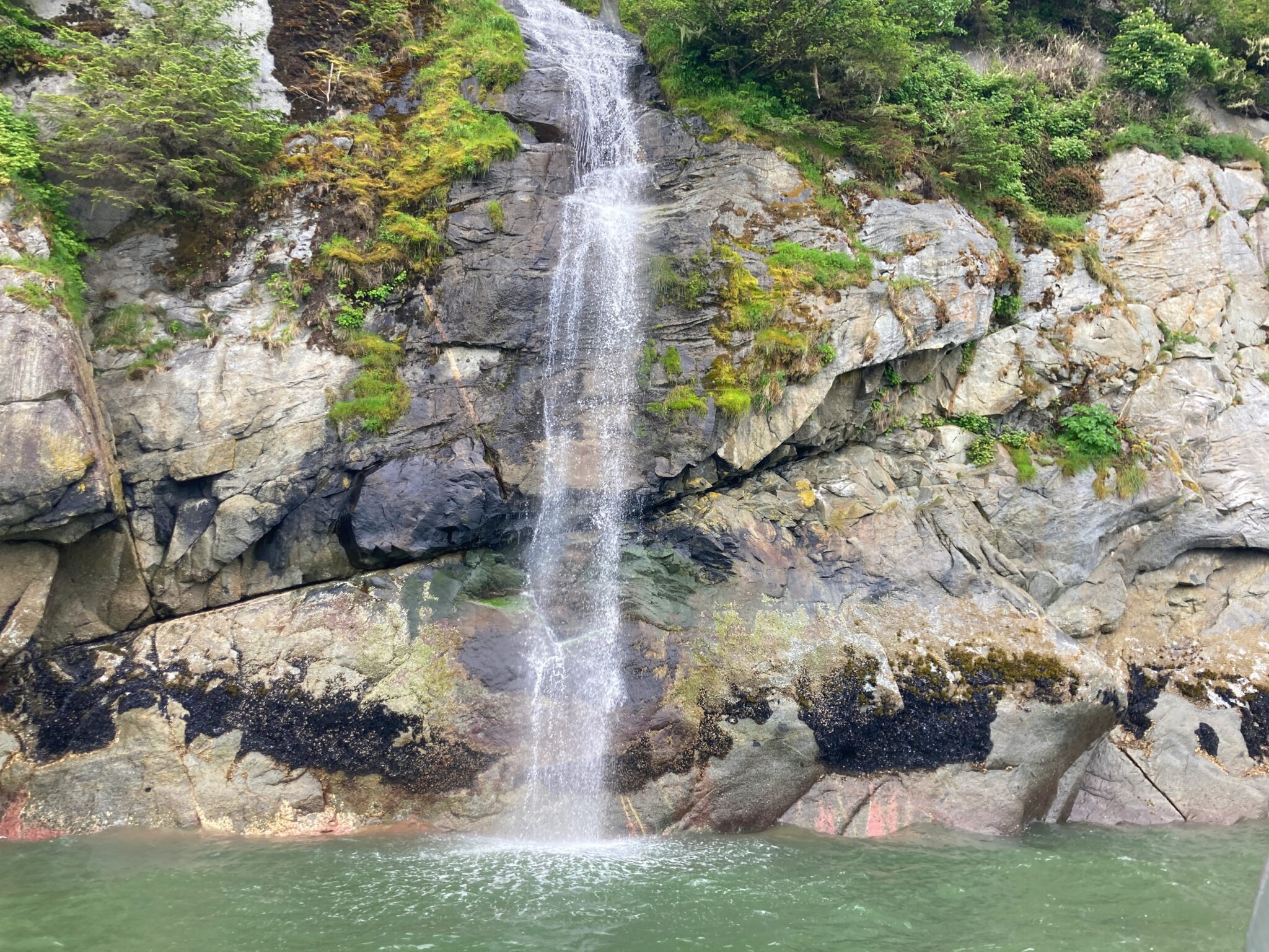 Why you must see LeConte Glacier – Top Left Adventures