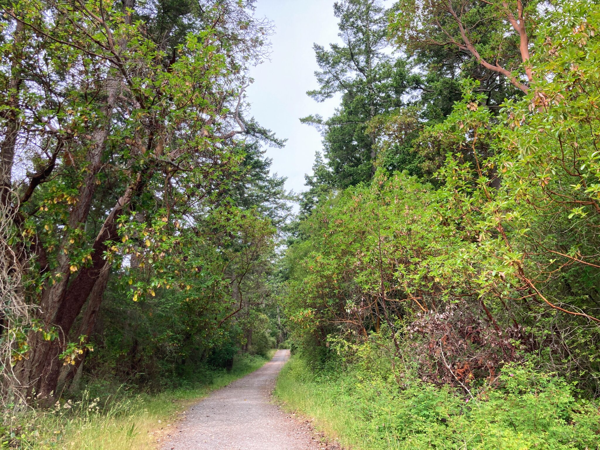 Exploring the Kukutali Preserve in Skagit County – Top Left Adventures