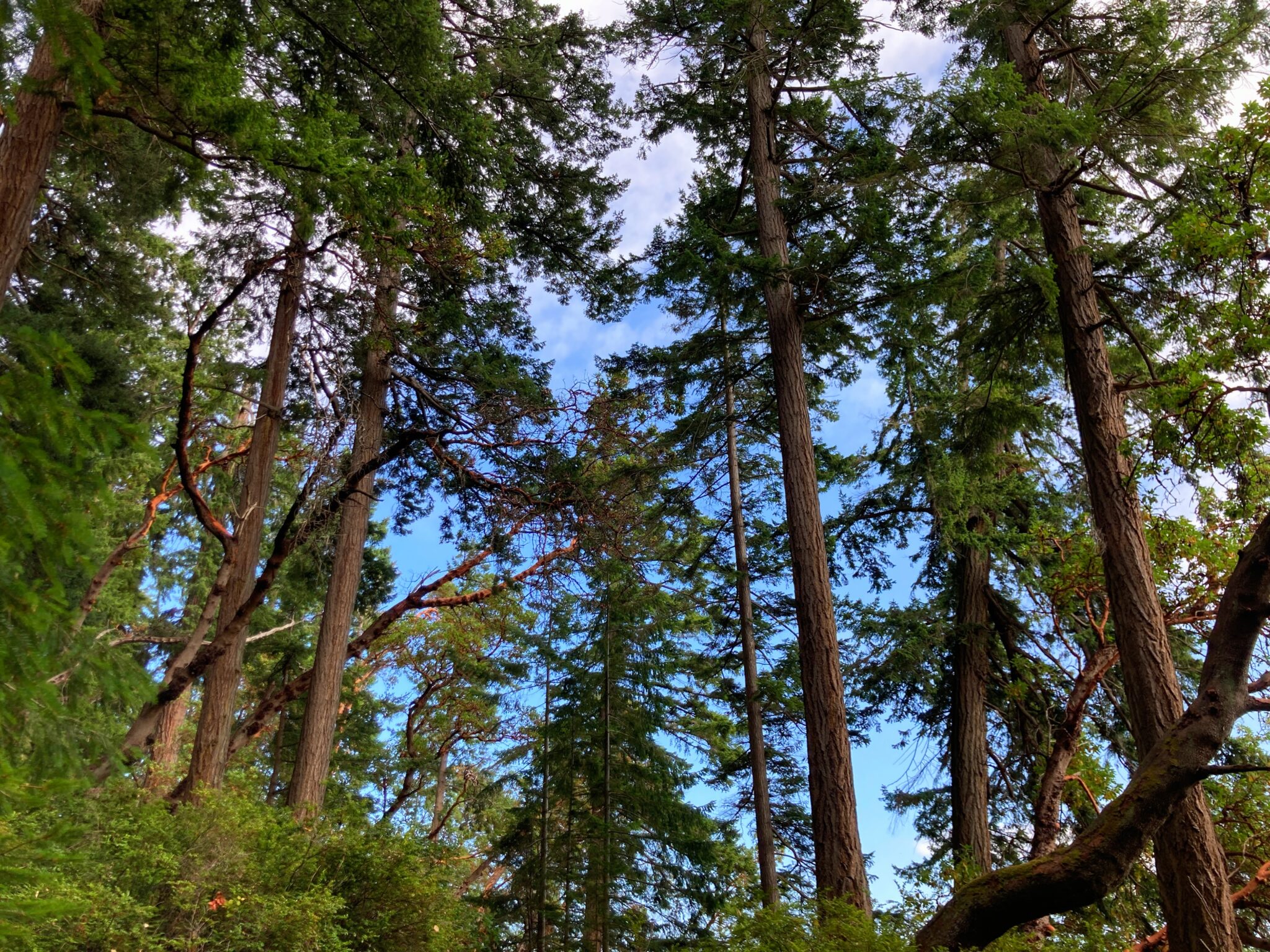 Complete Guide to Blake Island State Park near Seattle – Top Left ...